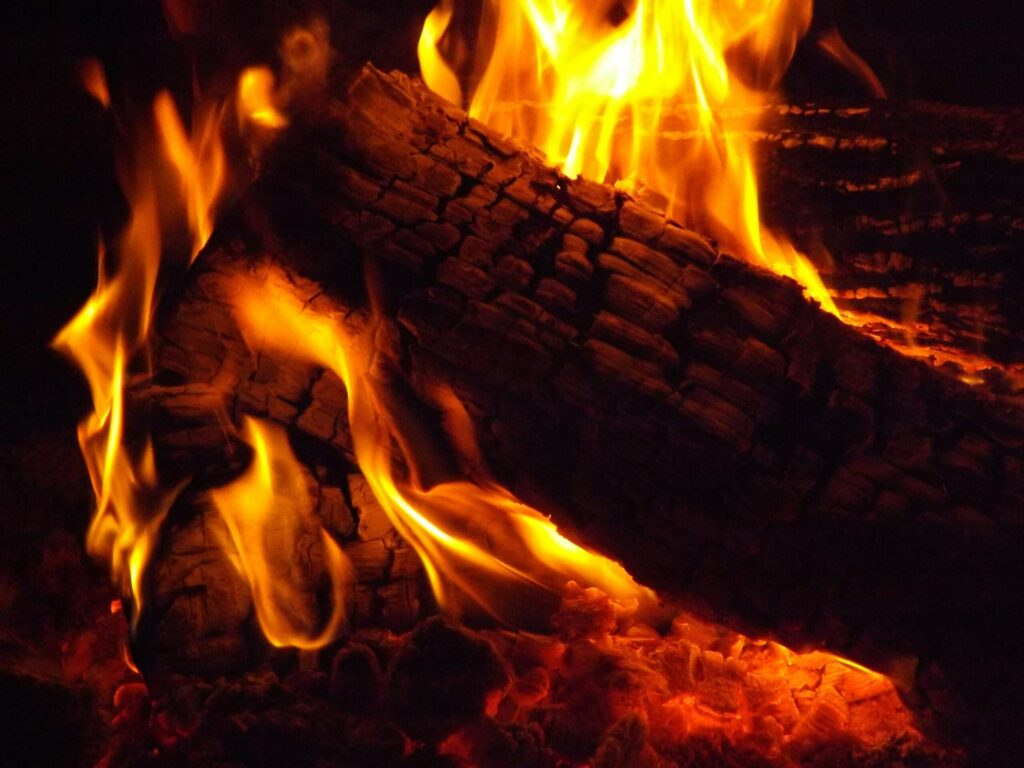 How to Build a Fire in Any Conditions – FORTUNE BAY EXPEDITION TEAM