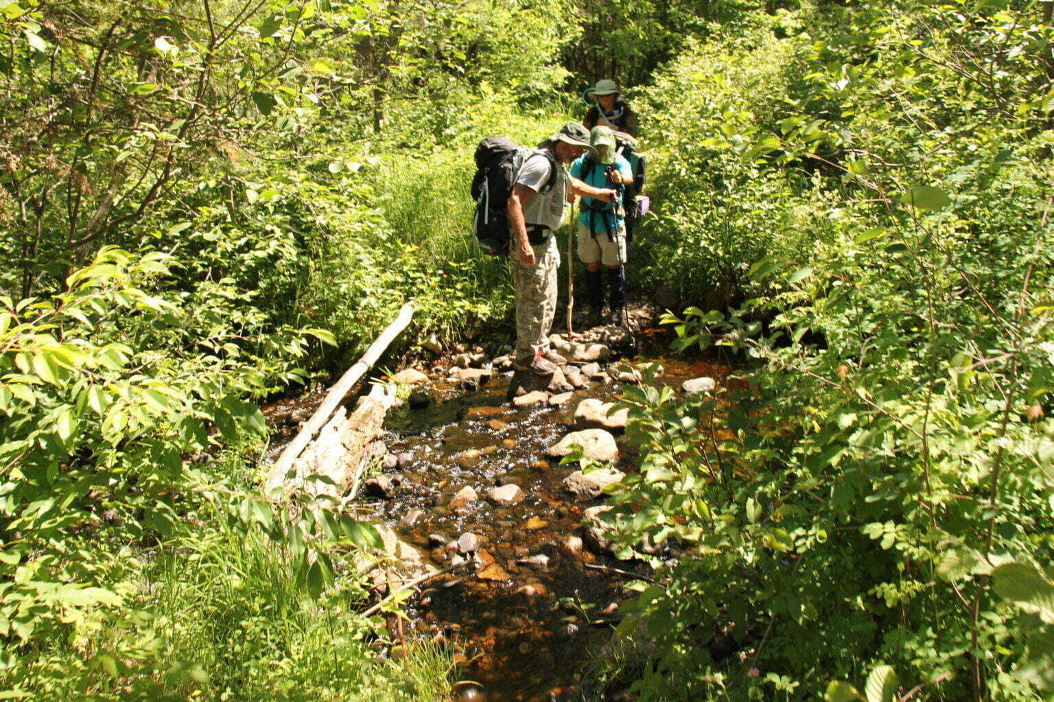McCormick Wilderness Excursion 2018 – FORTUNE BAY EXPEDITION TEAM