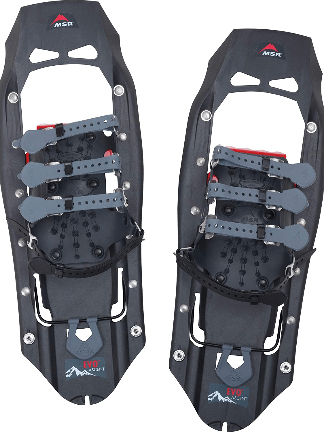 Skis or Snowshoes? Consider Skishoes - FORTUNE BAY EXPEDITION TEAM