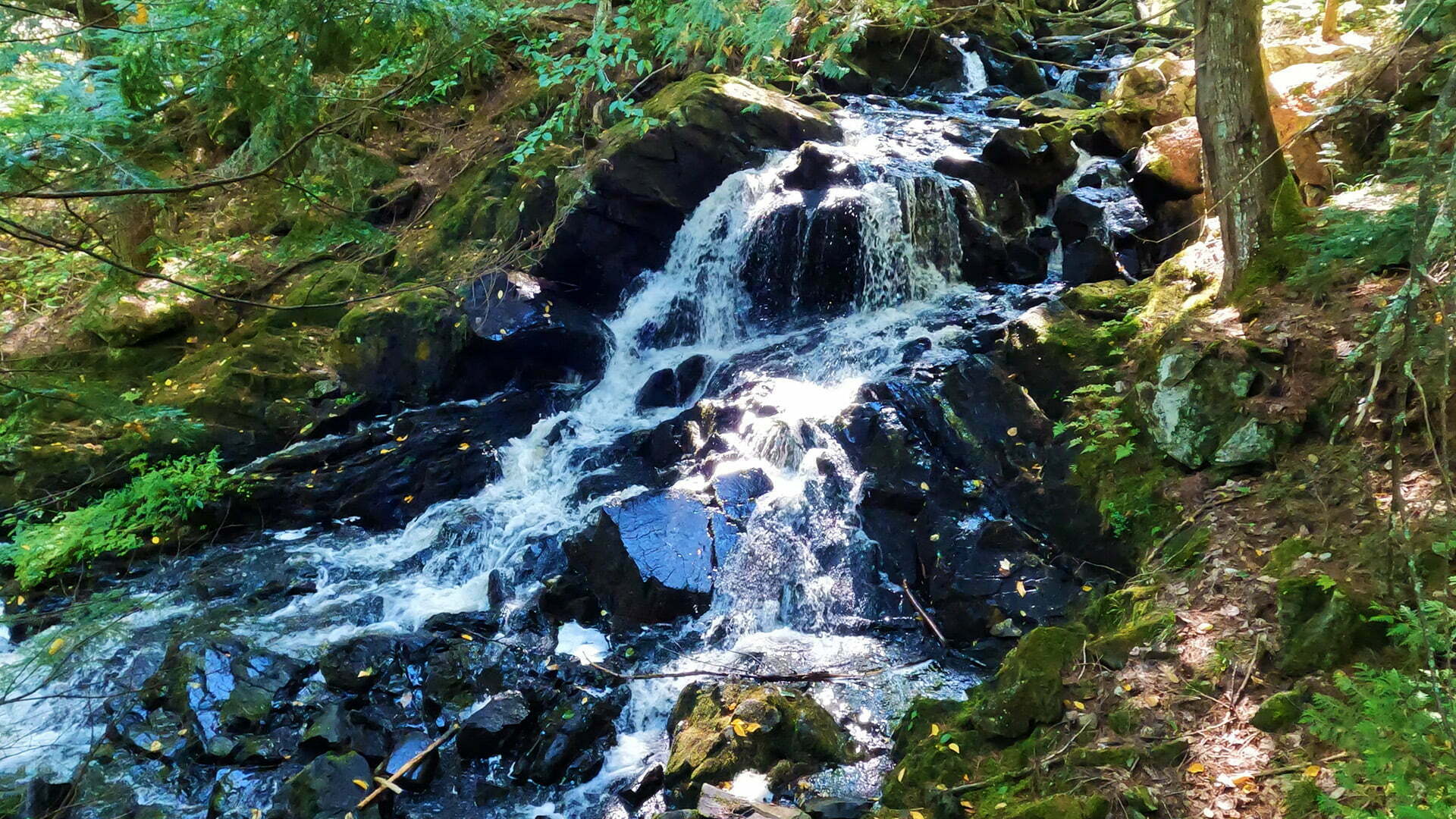 McCormick Wilderness Exploration 2022 – FORTUNE BAY EXPEDITION TEAM